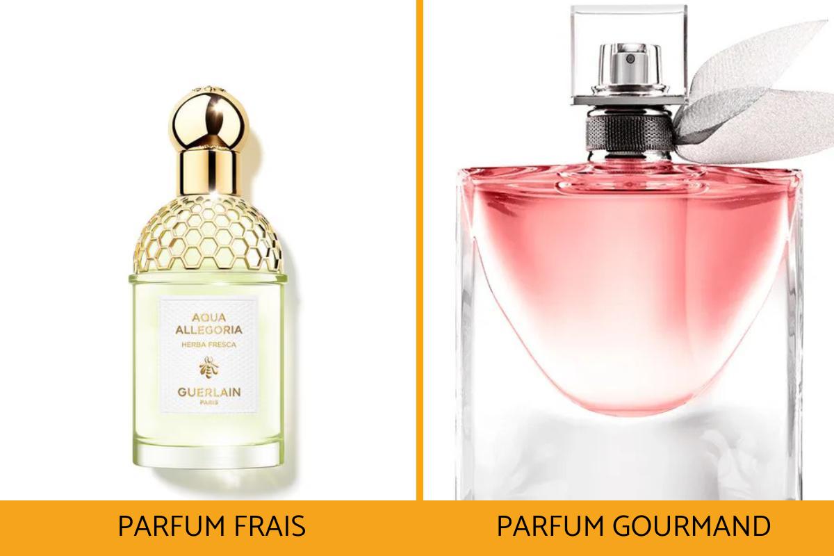 Tous les TYPES de PARFUMS
