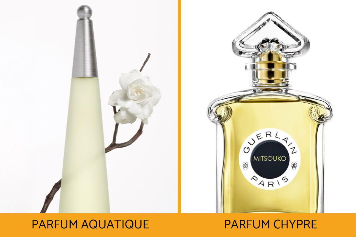 Tous les TYPES de PARFUMS