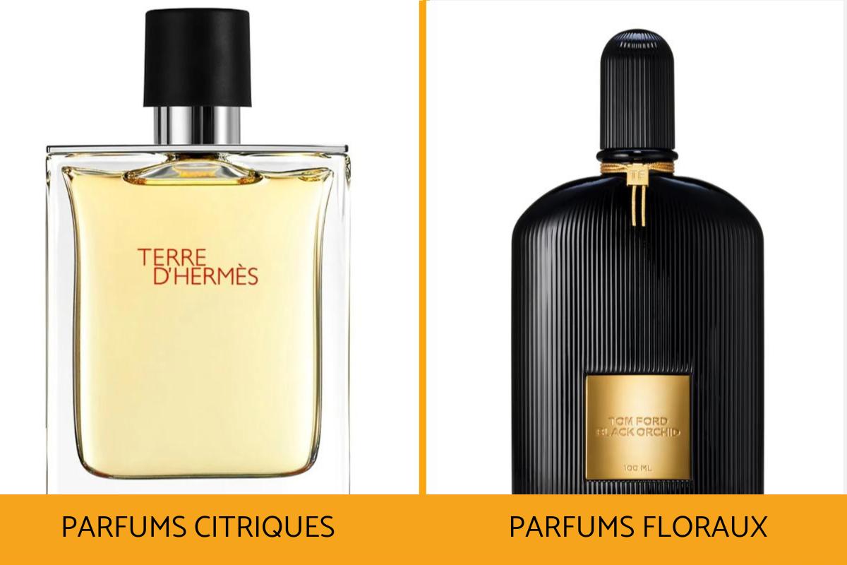 Tous les TYPES de PARFUMS