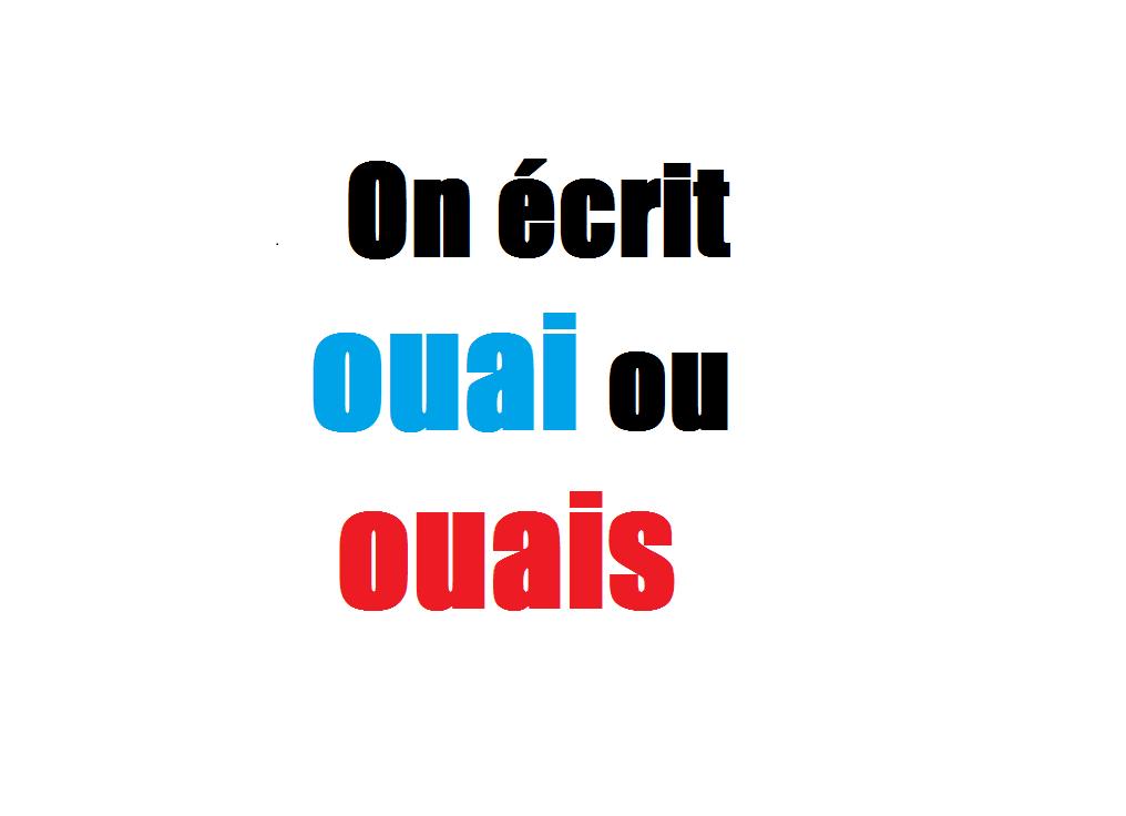Orthographe de ouai : avec ou sans S ? - 2 étapes