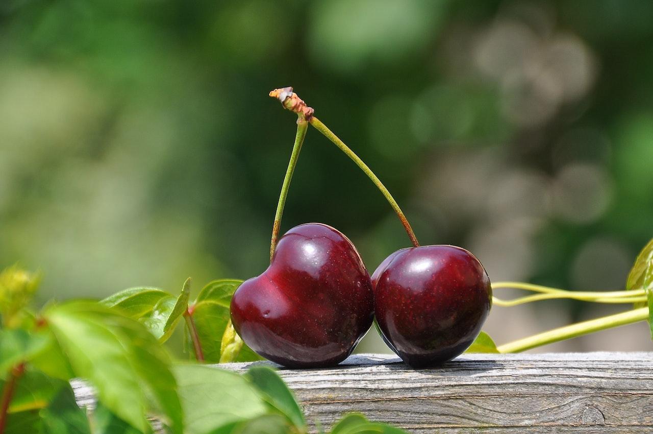 CERISES : PROPRIÉTÉS et BIENFAITS