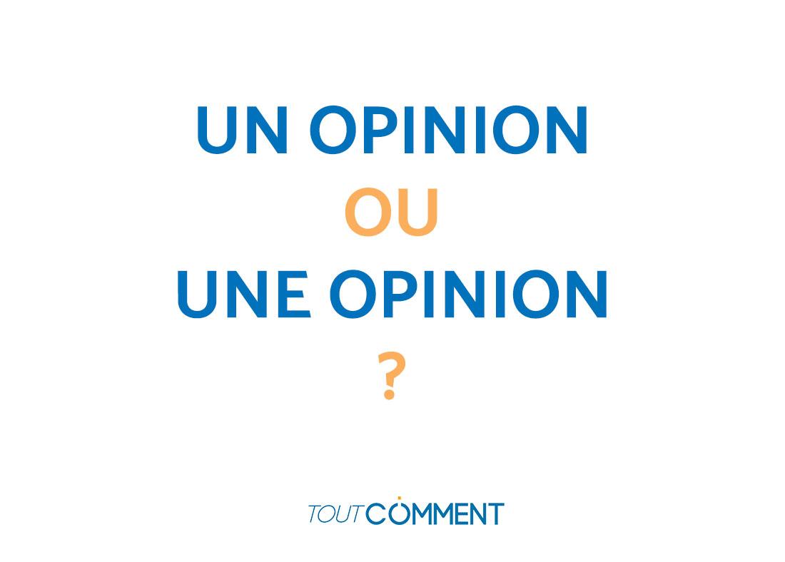 On dit UN ou UNE opinion - Ne plus faire la faute