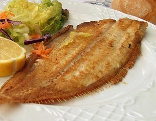 Quels sont les poissons blancs ? - 13 poissons BLANCS