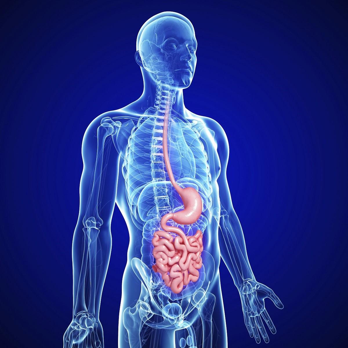Comment soigner les troubles digestifs ou dyspepsie