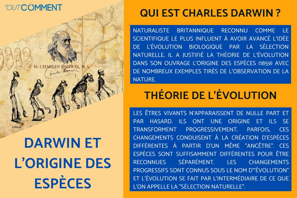 Darwin et l'origine des espèces - Théorie du DARWINISME et théorie de L ...