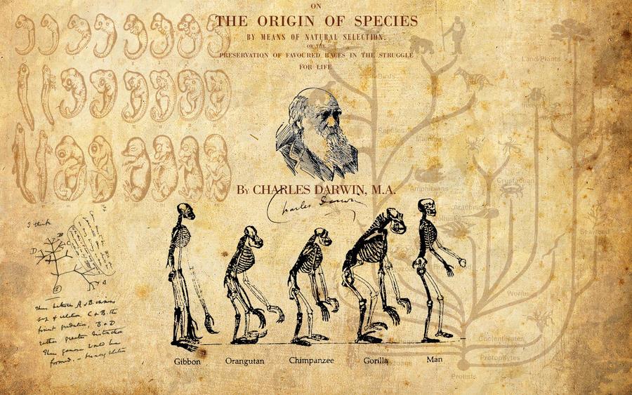 Darwin et l'origine des espèces - Théorie du DARWINISME et théorie de L ...