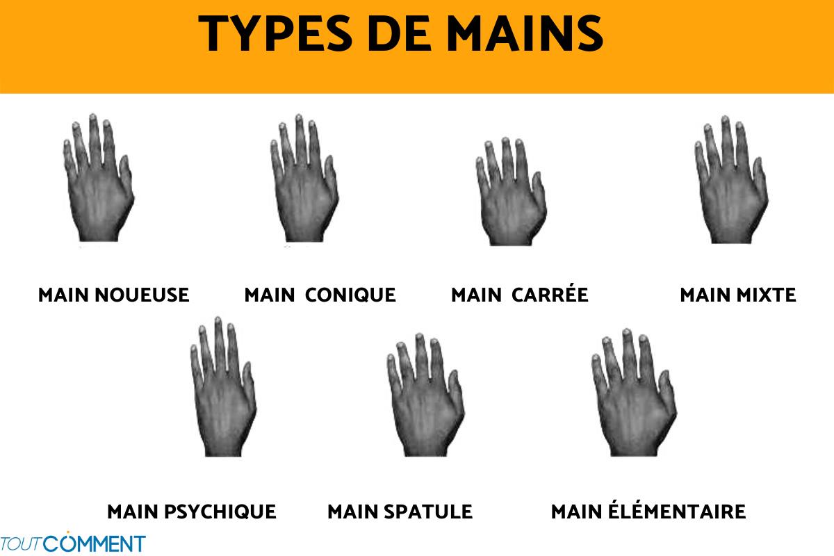 Découvrez votre personnalité grâce à la chiromancie et ses modèles ...