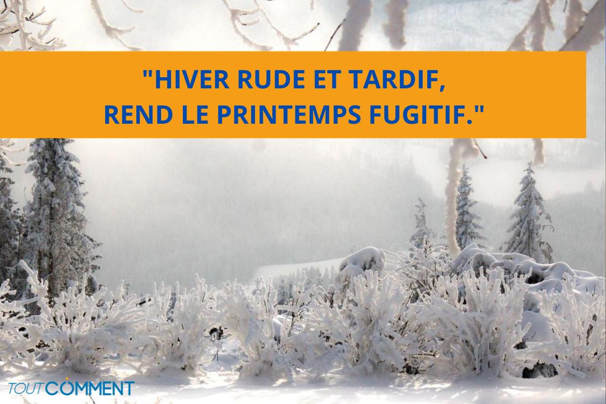 Dictons et proverbes d'hiver - LISTE de DICTONS