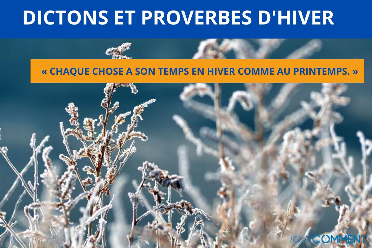 Dictons et proverbes d'hiver - LISTE de DICTONS