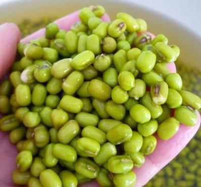 Comment cuisiner le soja selon sa forme