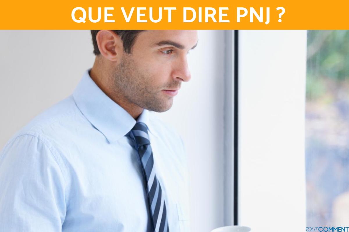 Que veut dire PNJ