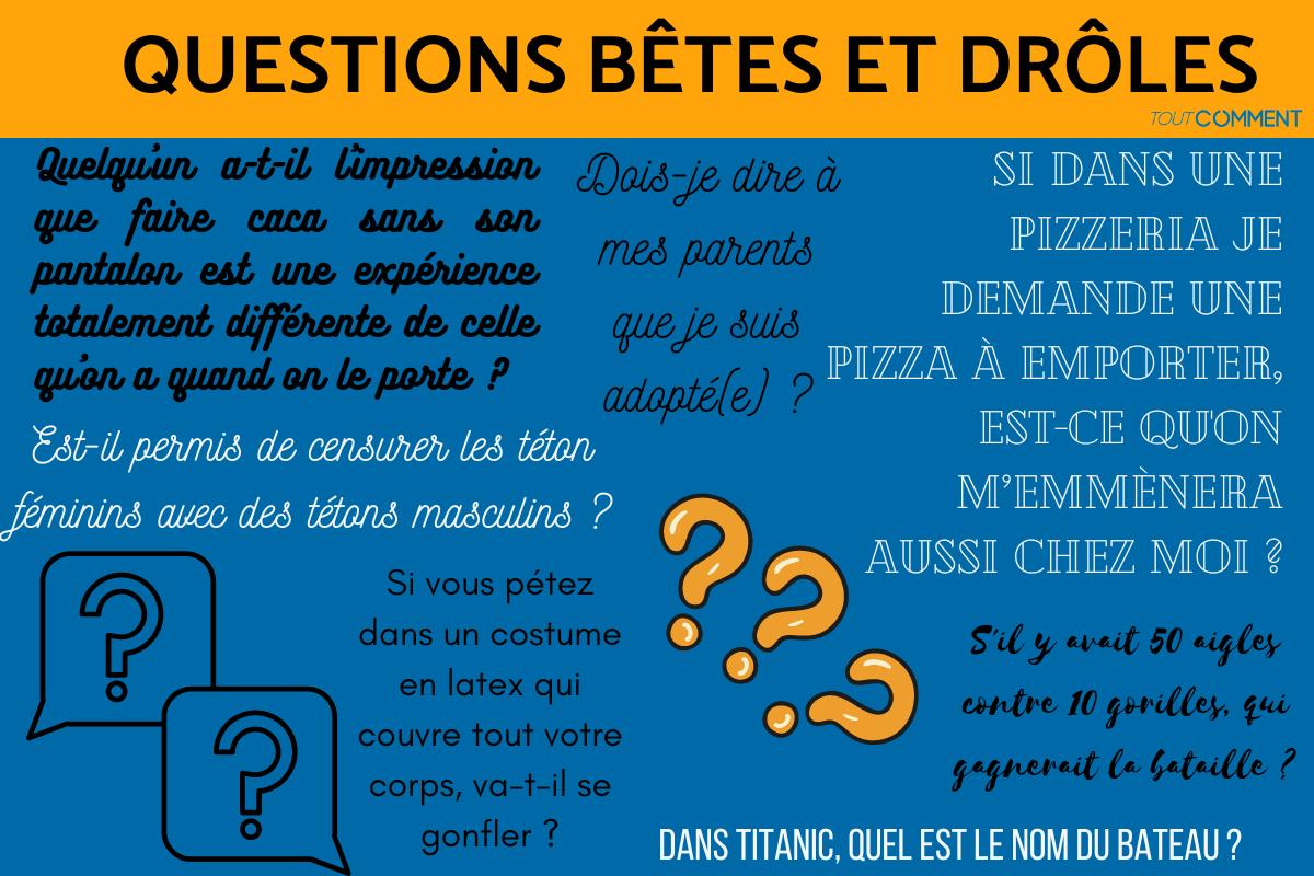 85 QUESTIONS vraiment BÊTES... ou pas