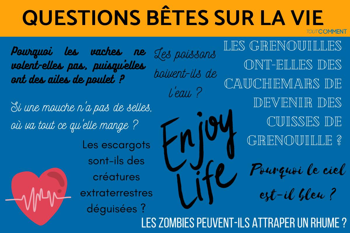 85 QUESTIONS vraiment BÊTES... ou pas