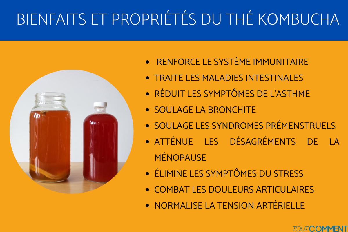 Thé KOMBUCHA : BIENFAITS, PROPRIÉTÉS et PRÉPARATION