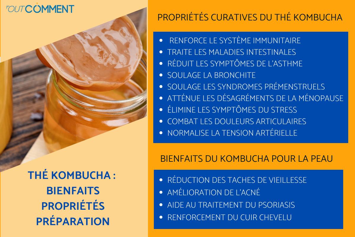 Thé KOMBUCHA : BIENFAITS, PROPRIÉTÉS et PRÉPARATION