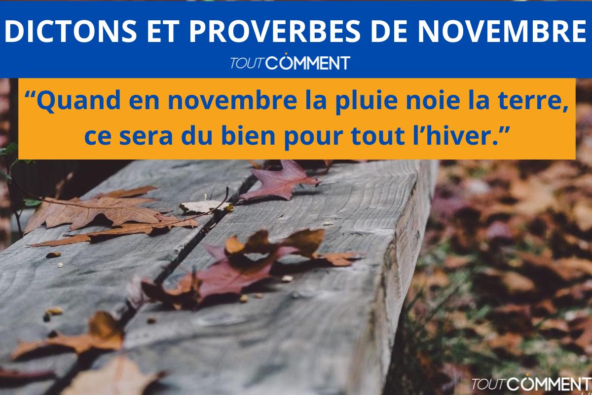 Dictons et proverbes de novembre - Liste des dictons et proverbes les plus populaires