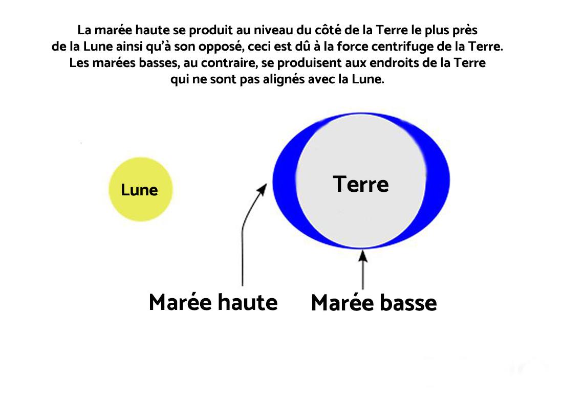 Que sont les marées et comment fonctionnent-elles ? EXPLICATION FACILE ...
