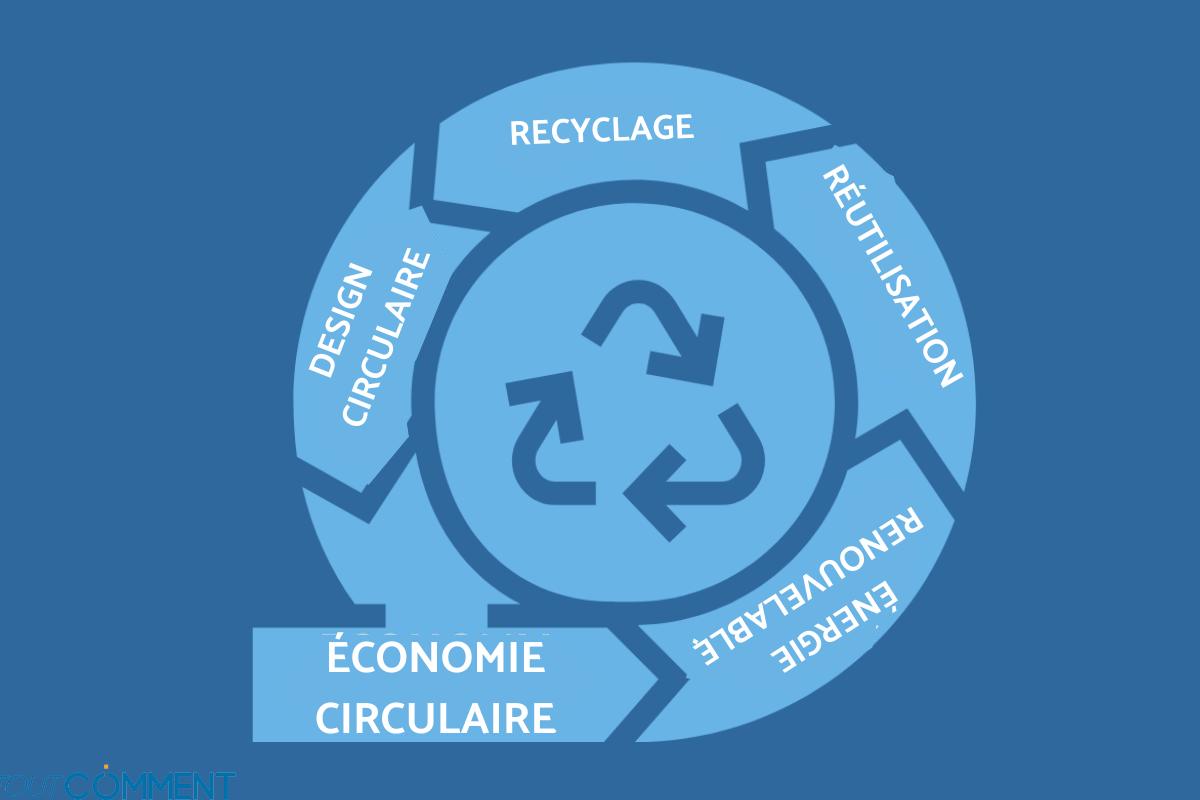 Économie circulaire : Définition et exemples
