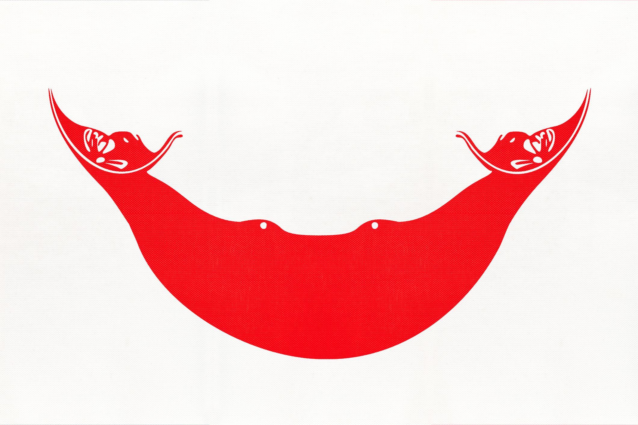 Drapeaux COMPLIQUÉS - Photos et signification