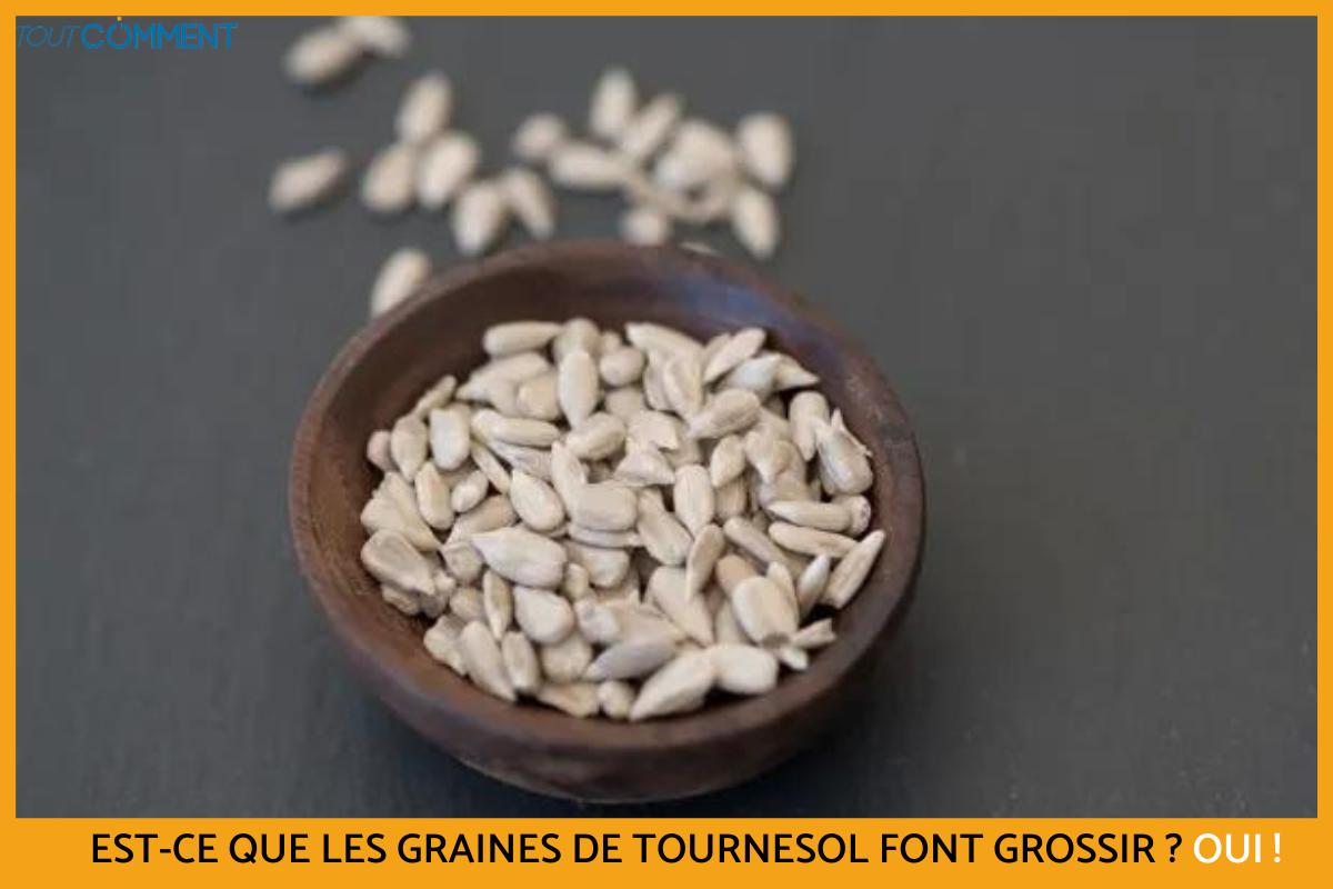 GRAINES TOURNESOL : VALEUR NUTRITIONNELLE, BIENFAITS, RECETTE