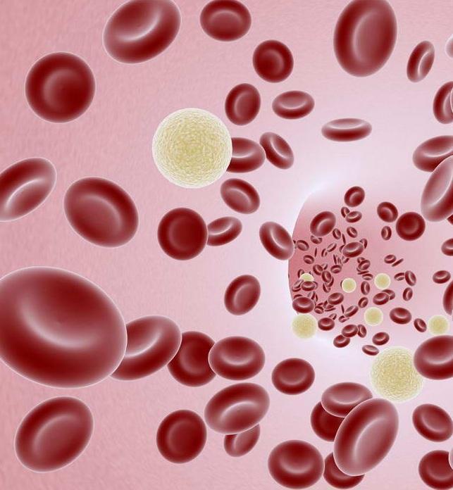 Comment augmenter son taux de plaquettes sanguines