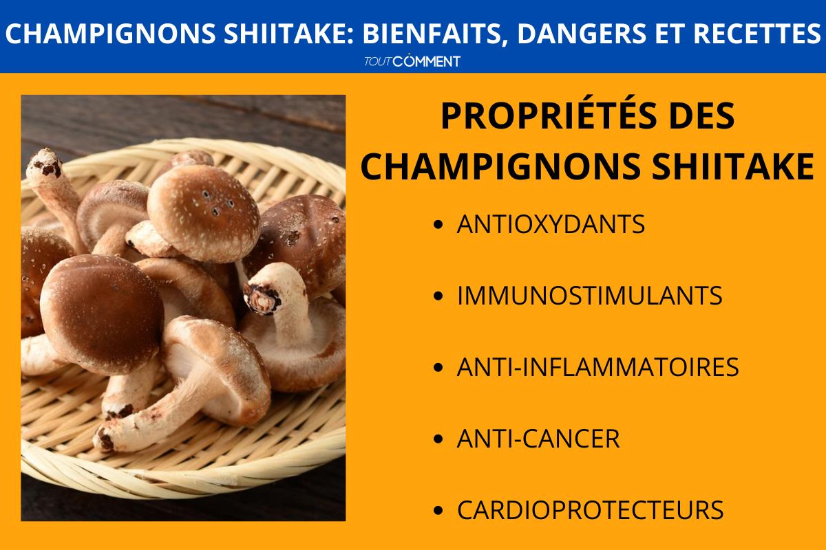 Champignons shiitake: bienfaits, dangers et recettes