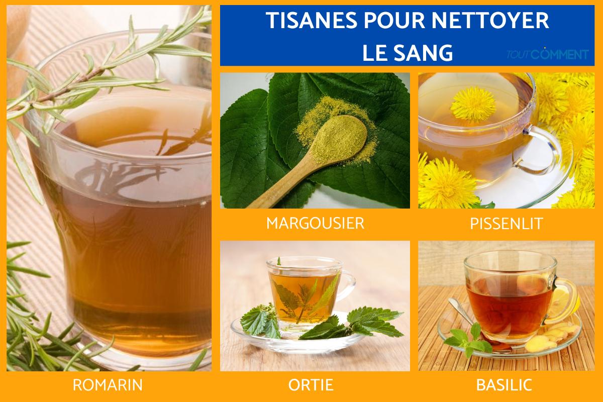 Tisanes pour nettoyer le sang