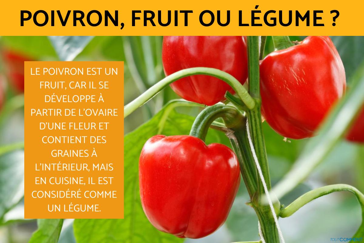 Poivron, fruit ou légume