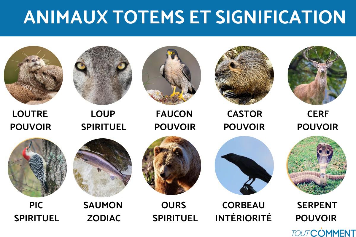 COMMENT TROUVER son ANIMAL TOTEM selon SA DATE de NAISSANCE