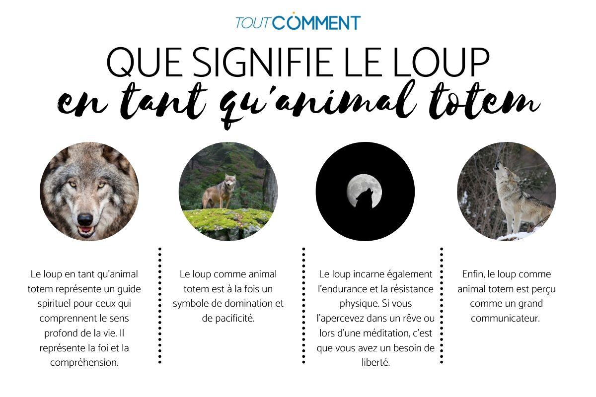 Le loup comme animal totem - EXPLICATIONS