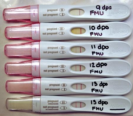 Comment évolue le taux de HCG pendant une grossesse normale