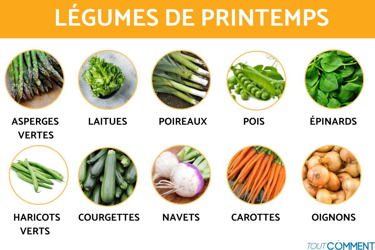 TOP des 10 LÉGUMES de PRINTEMPS - RECETTES et PHOTOS