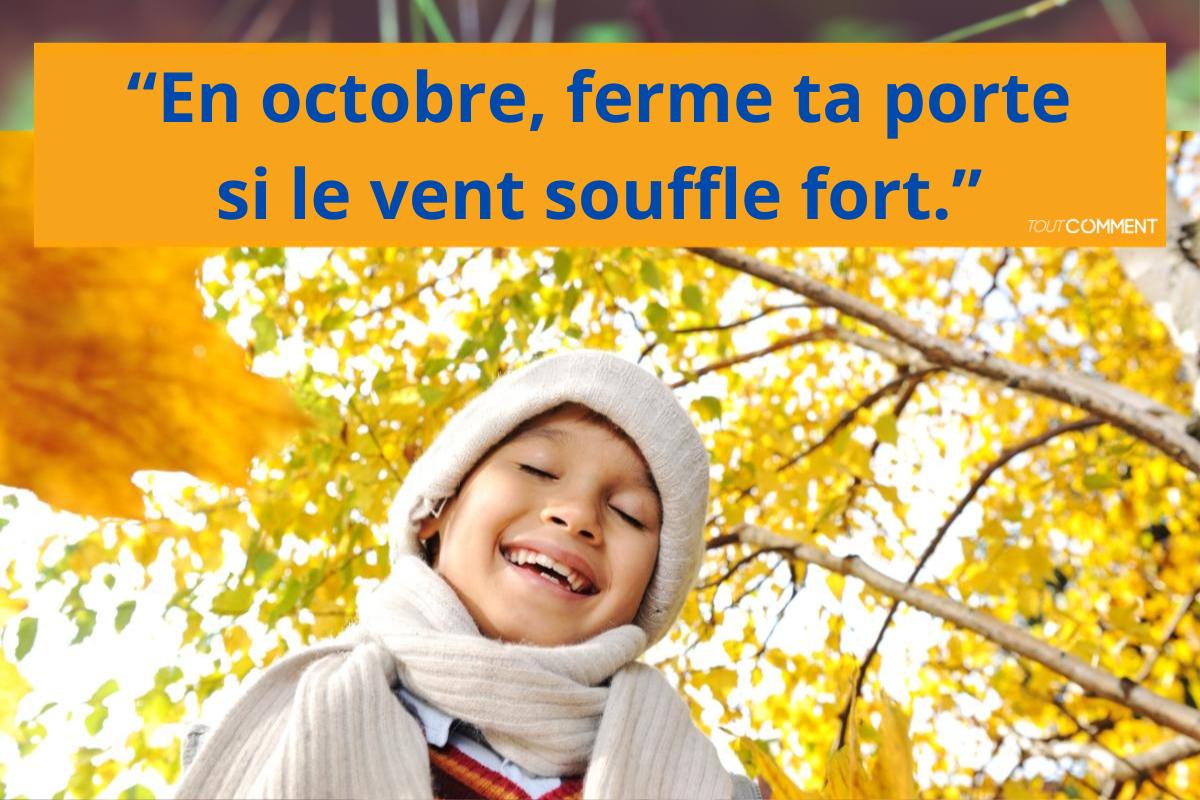 +35 Dictons et proverbes d'octobre - Liste des plus populaires