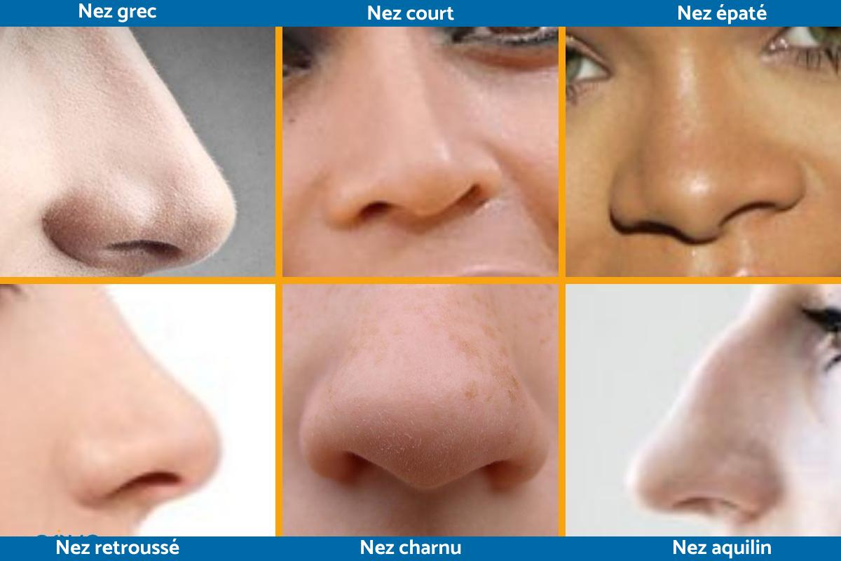 8 Différents TYPES de NEZ avec PHOTOS